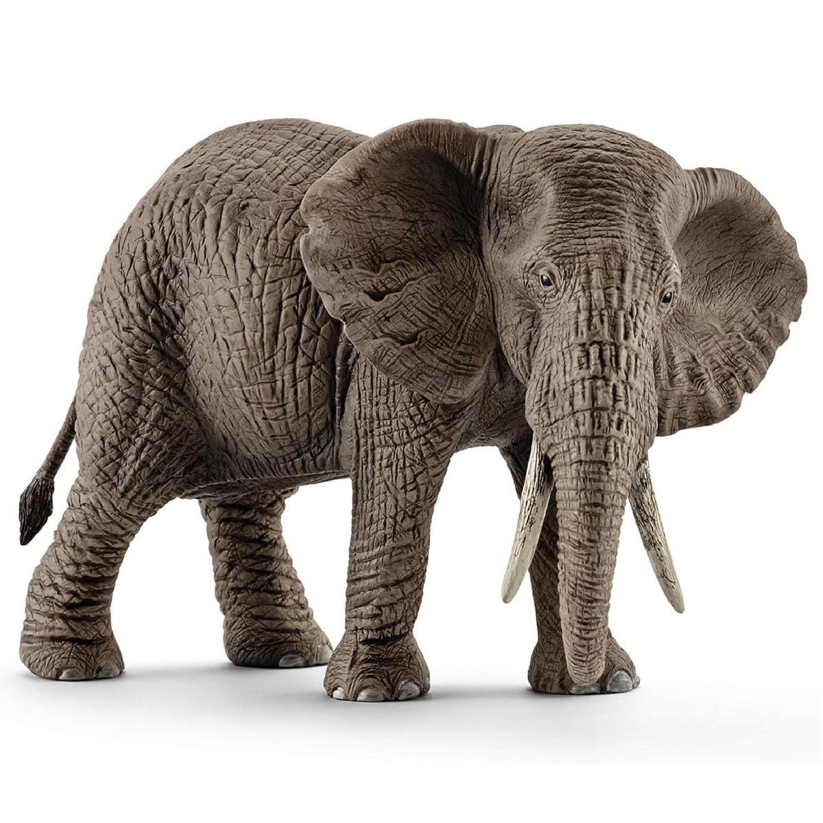 Elefante africano hembra – TEKO Juegos con diseño